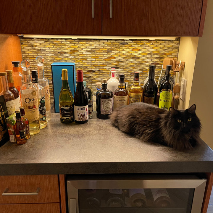 75 Dry bar Ideas You'll Love - March, 2025 | Houzz