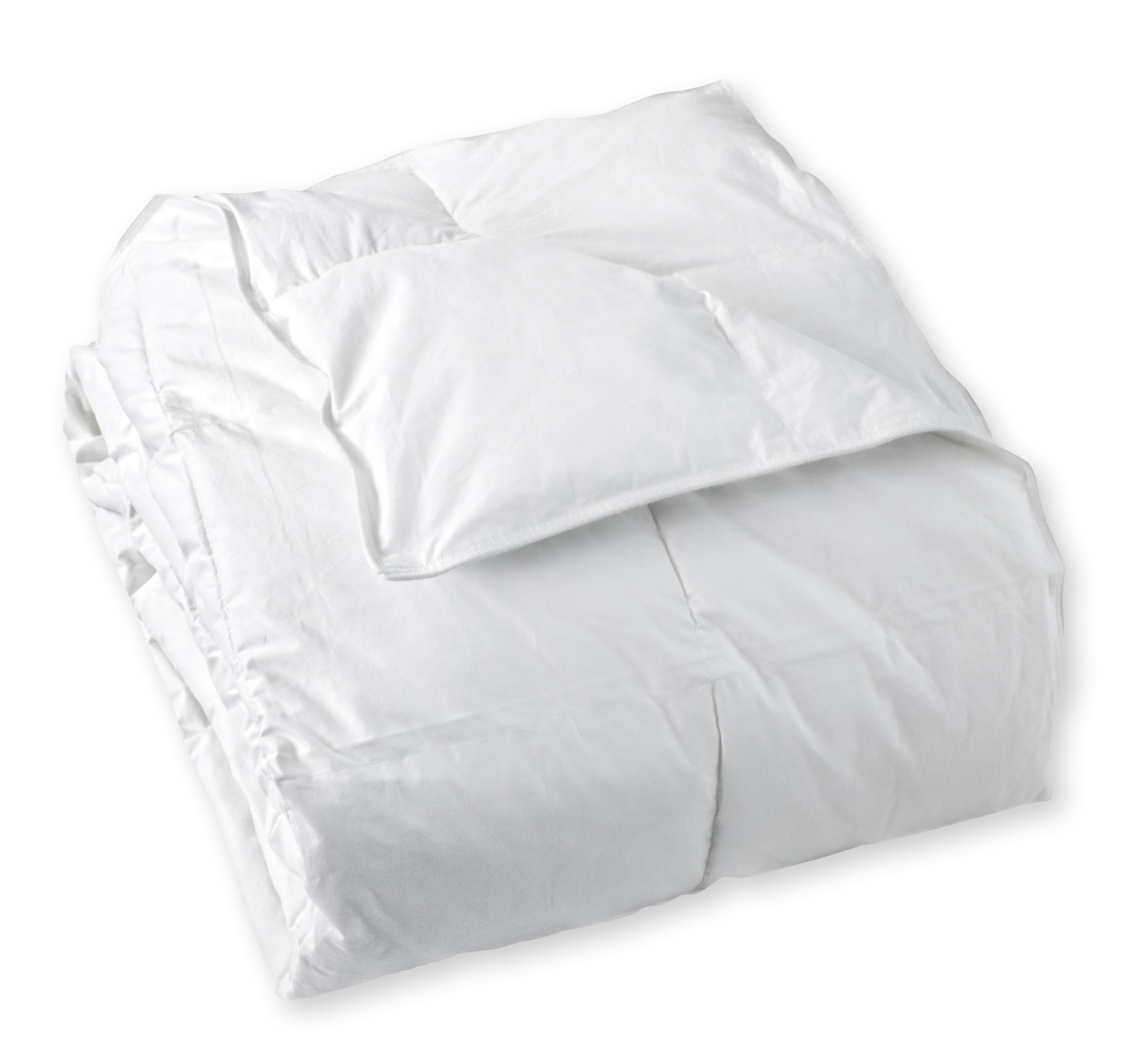 Down Comforter, Queen - Traditional - Duvet Inserts - by Sunflower ...