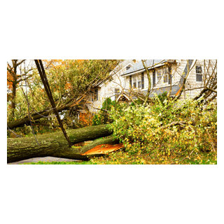 Emergency Tree Service Virginia Beach - Exterior - Other - by Tracstar ...