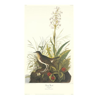 "Tawny Thrush (decorative border)" Paper Art, 26"x32" - Contemporary ...