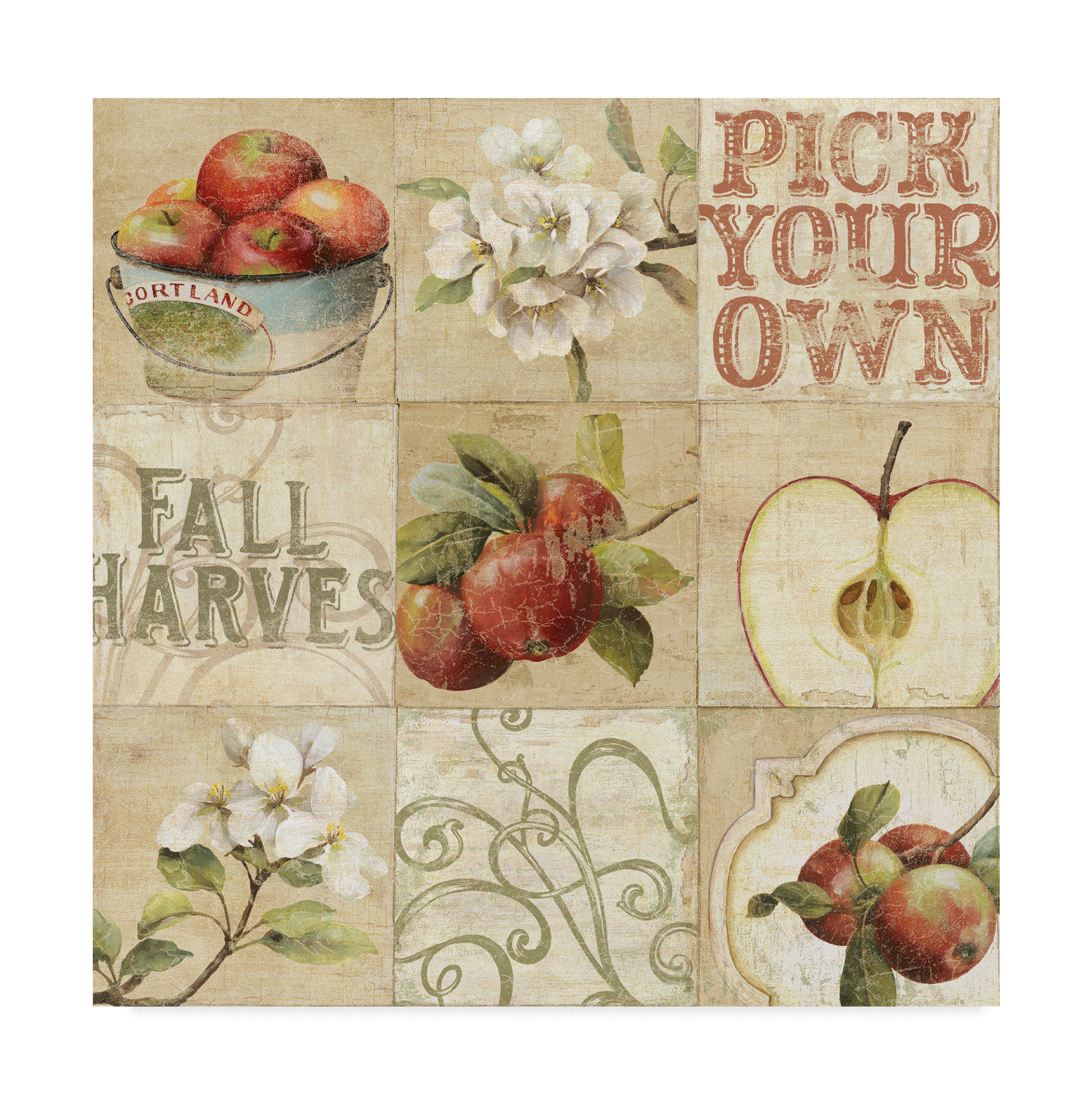 Lisa Audit 'Fall Harvest IV' Canvas Art, 18"x18" - Farmhouse - Prints ...