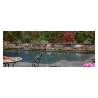 Rectangular pool w/ bluestone decking - Traditional - Pool - Boston ...