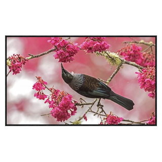 Tui 39, 40"x24" - Contemporary - Prints And Posters - by Global Gallery ...
