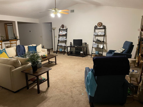 Desperately need help upgrading living room