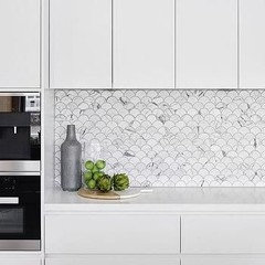 Caesarstone Alpine Mist with what backsplash??