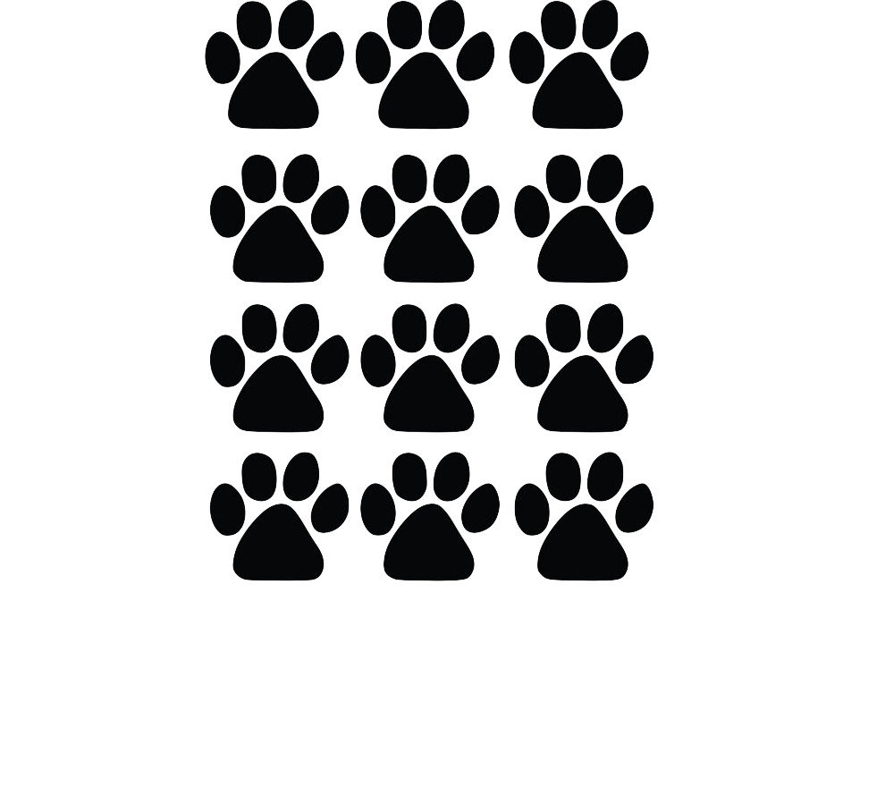Cat Dog 12 Animal Paw Prints Picture Art Vinyl Decal, 12x16 ...