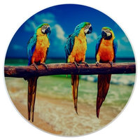 Macaws on Branch Ceramic Cabinet Drawer Knob - Cabinet And Drawer Knobs ...