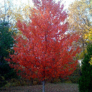 75 Beautiful Red Landscaping Pictures & Ideas | Houzz