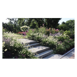Winton Park Landscape Renovation - Traditional - Landscape - New York ...