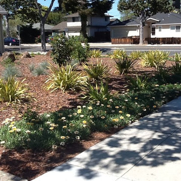 Street Corner Landscape - Photos & Ideas | Houzz