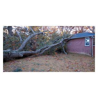 Emergency Tree Service Virginia Beach - Exterior - Other - by Tracstar ...