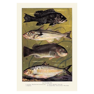 Saltwater Fish #3, 20" x 30" - Beach Style - Prints And Posters - by ...