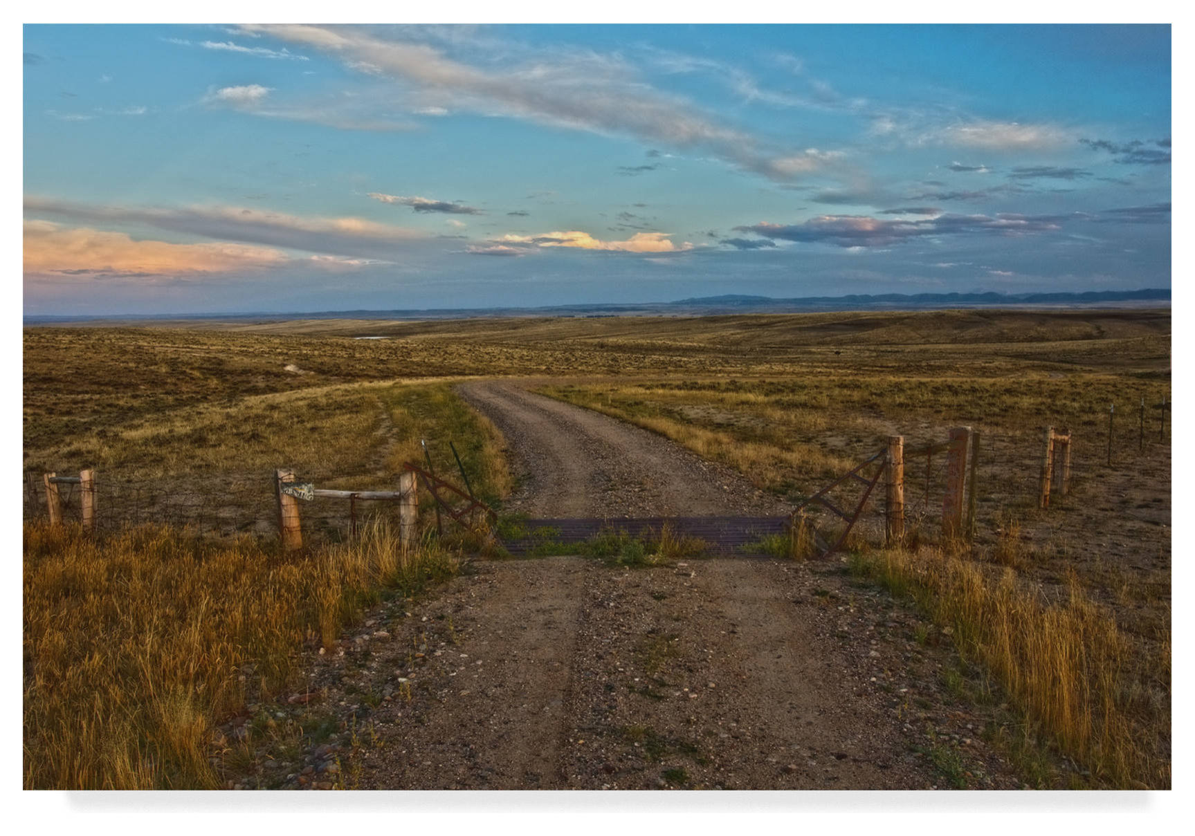 Amanda Smith 'Knowing Which Cattle' Canvas Art, 30"x47" - Contemporary ...