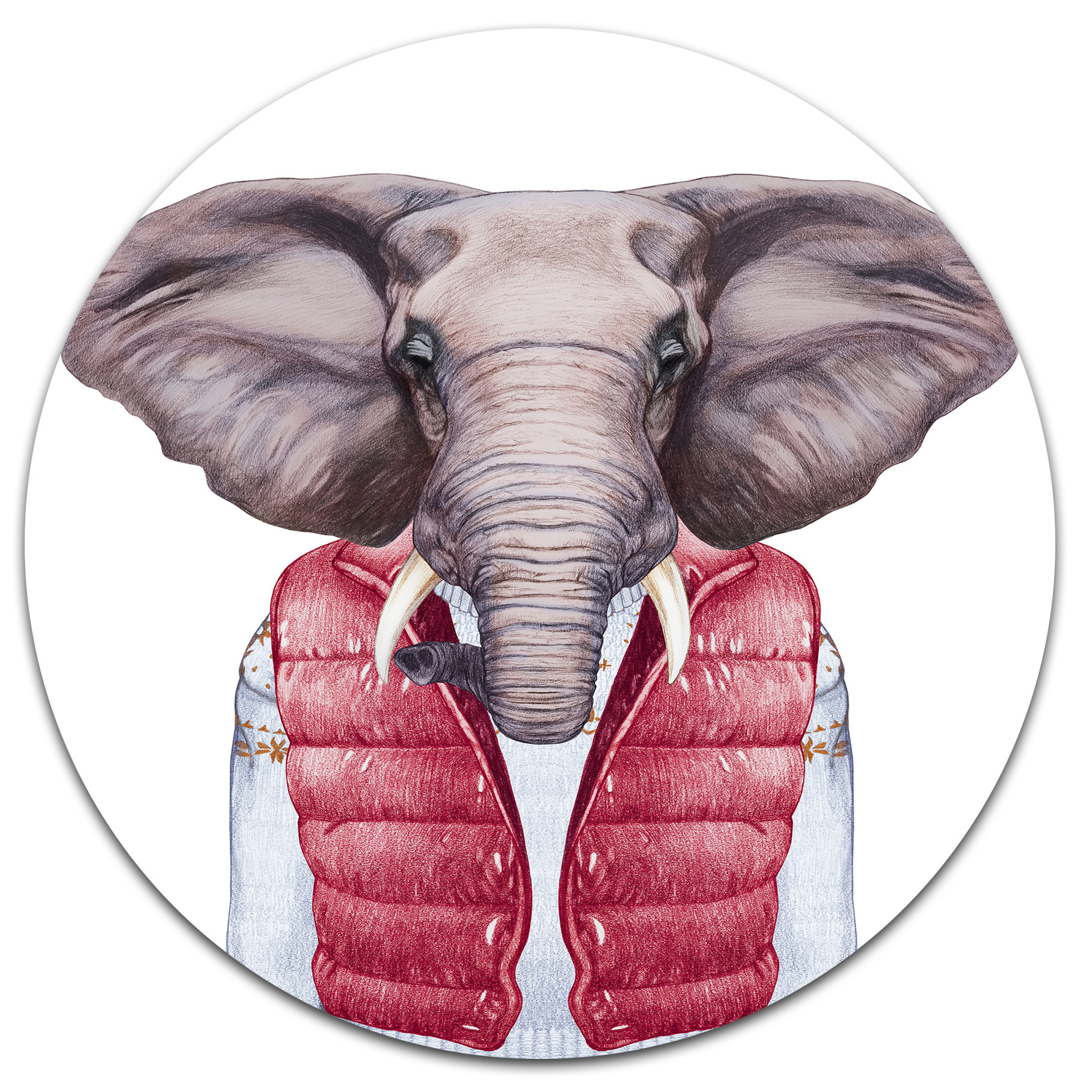 Elephant In Vest And Sweater, Animal Art Disc Metal Artwork, Disc of 23 ...