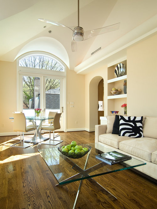 Clear Acrylic Blade Ceiling Fan | Houzz