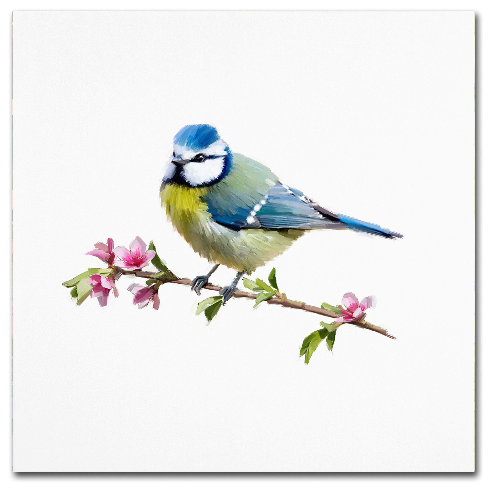 The Macneil Studio 'Bluetit' Canvas Art, 14"x14" - Asian - Prints And ...