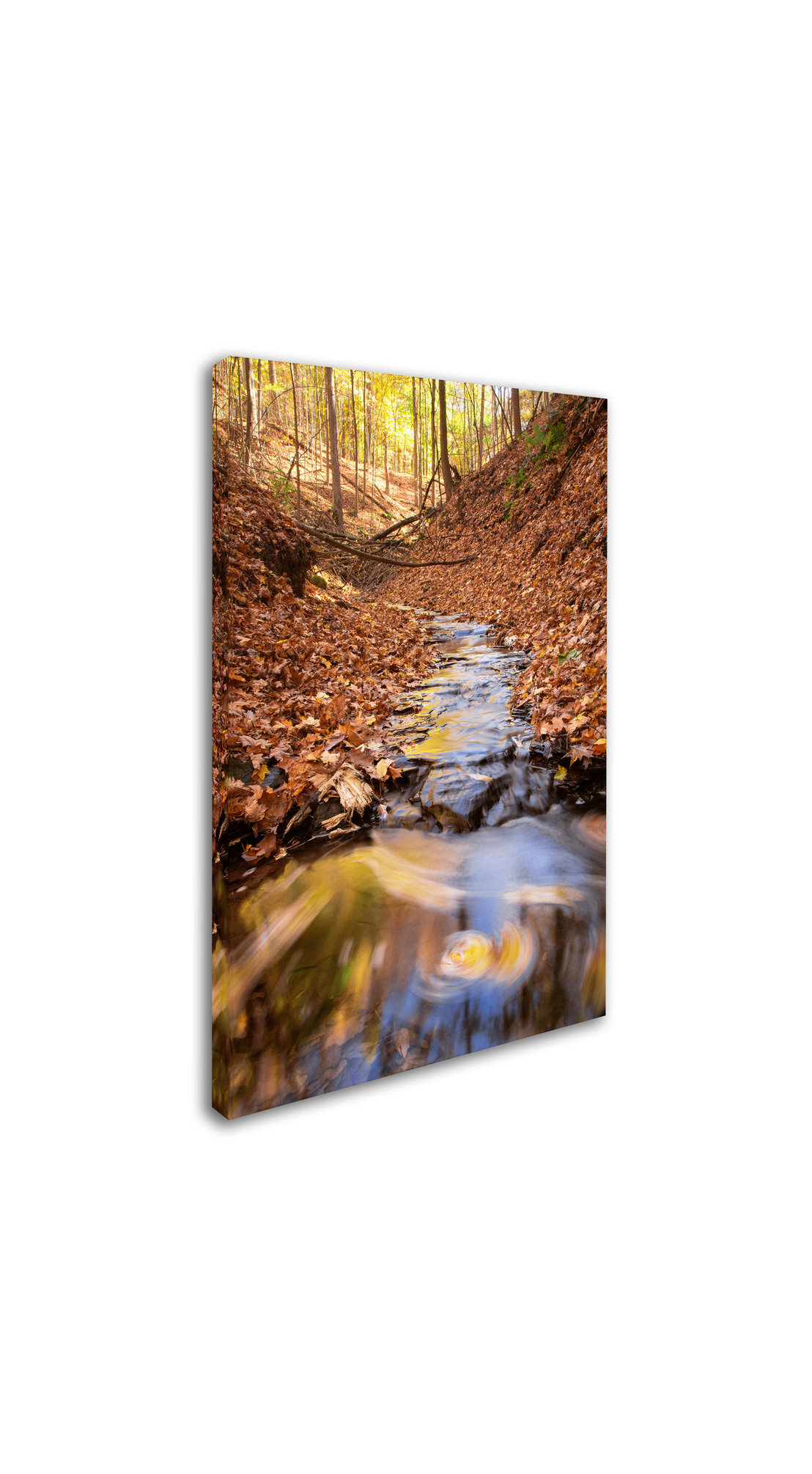 Jason Shaffer 'Secret Spot' Canvas Art, 12 x 19 - Contemporary - Prints ...