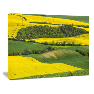 Rapeseed Fields and Green Wheat, Landscape Canvas Art Print, 60x40 ...
