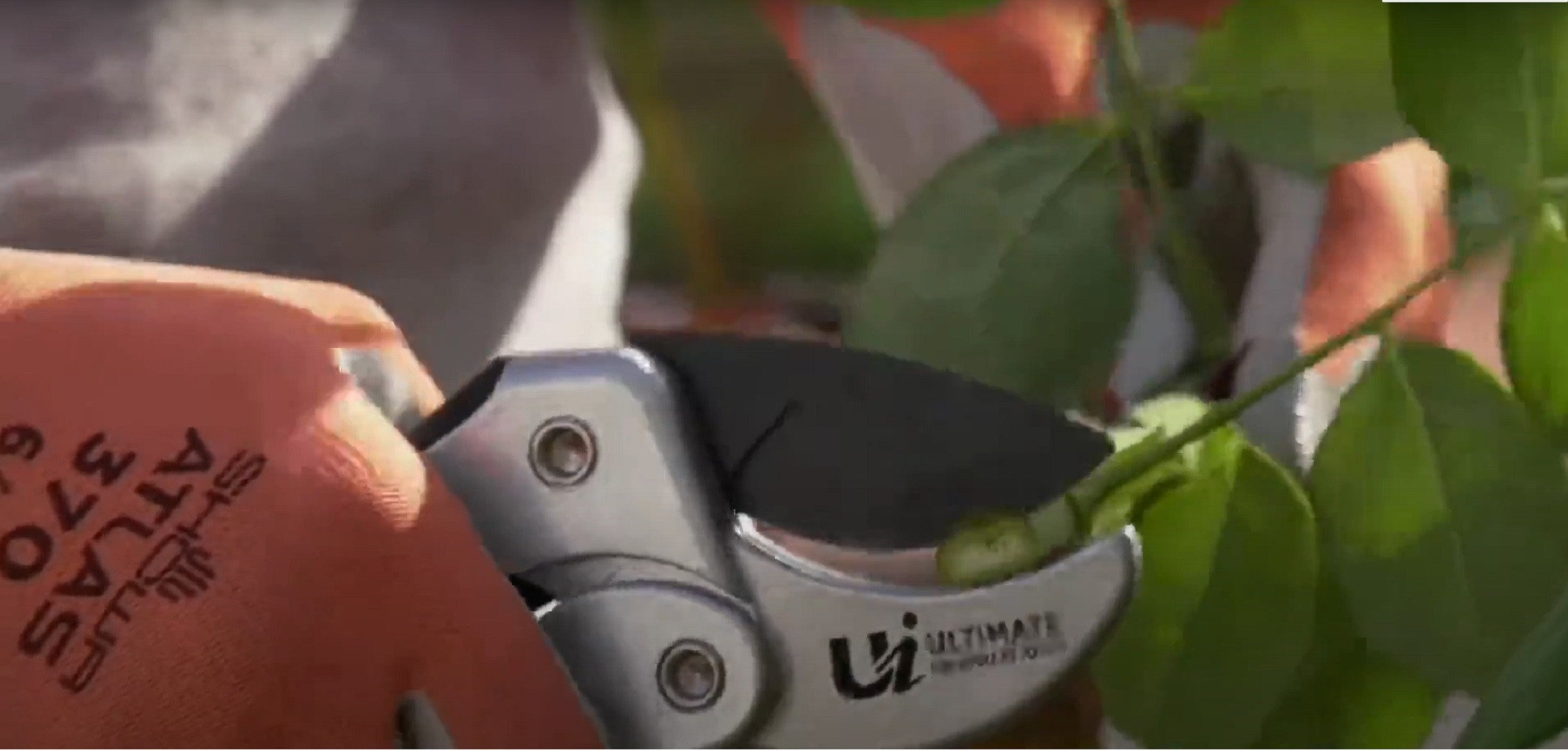 Ultimate Ratcheting Clippers - Traditional - Gardening Hand Tools - by ...