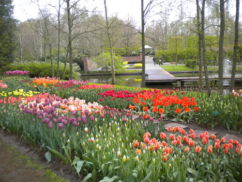 The most beautiful spring garden