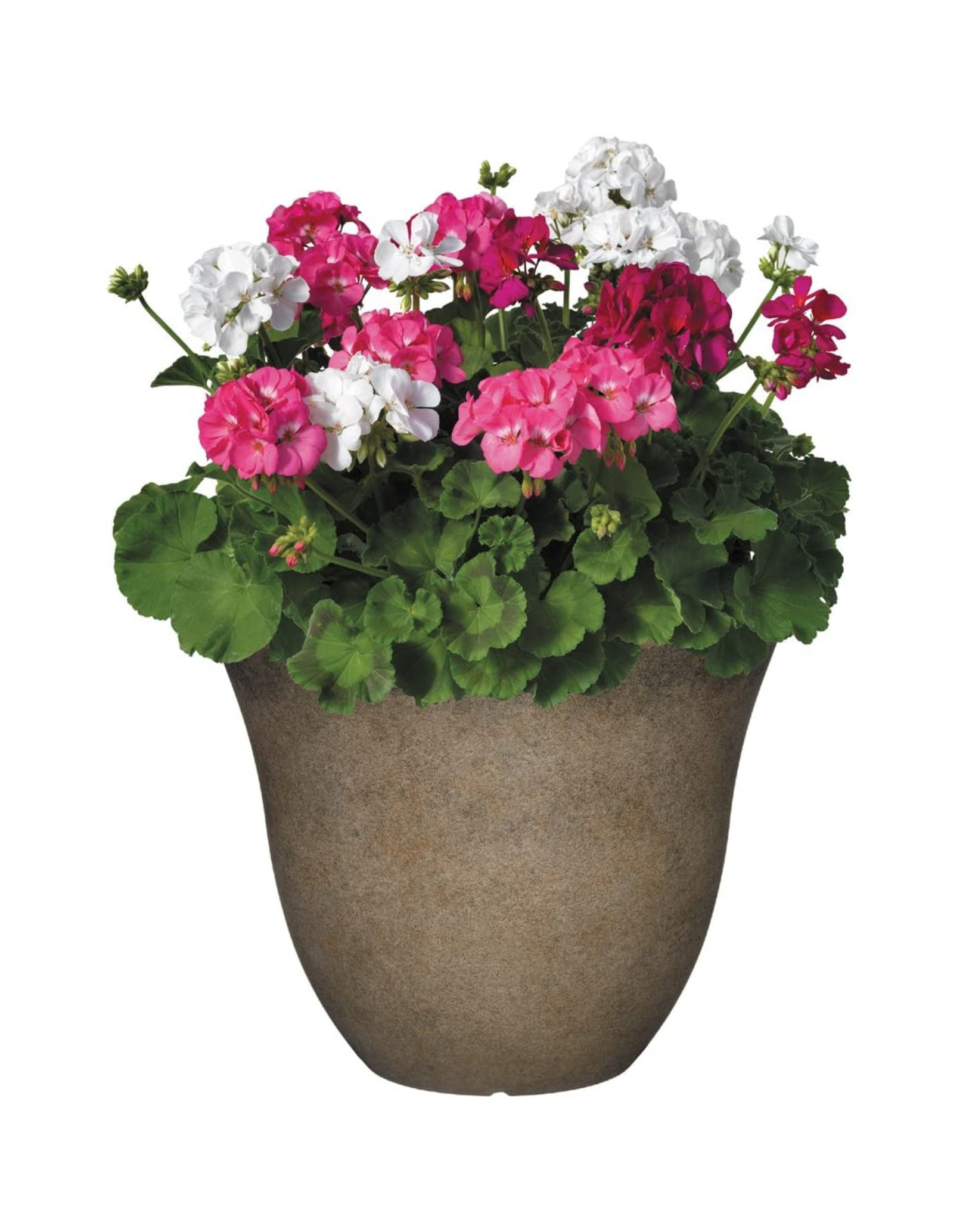 Classic Home and Garden Honeysuckle Resin Flower Pot Planter, Fossil ...