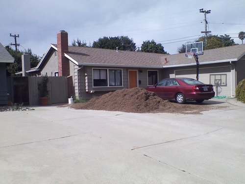 Advice for creating divider / privacy on shared driveway with neighbor ...