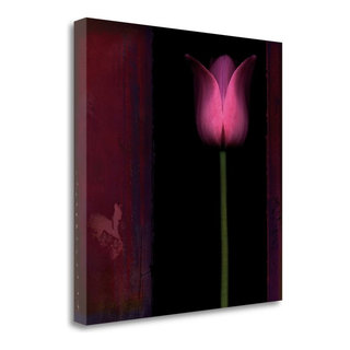 Red Tulip I By Rick Filler, 35"x35" - Contemporary - Prints And Posters ...