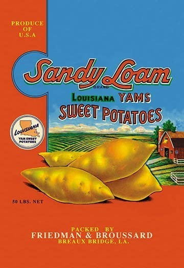 Sandy Loam Brand Yams, 20" x 30" - Traditional - Prints And Posters ...