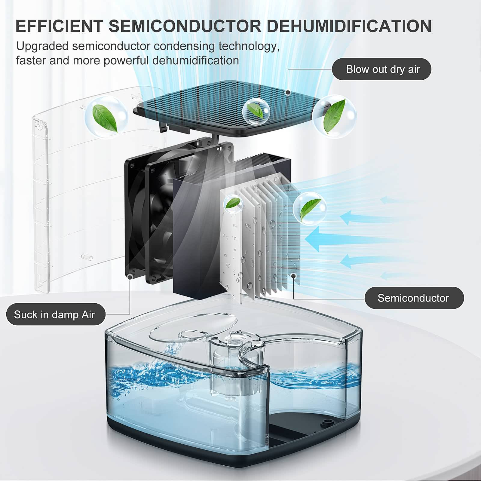 Dehumidifiers for Home 30 OZ Water Tank With Auto-Off, Portable Small ...
