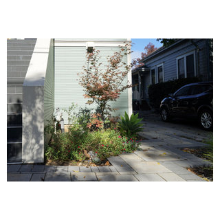 Accent Plants + Functional Paving - Modern - Landscape - San Francisco ...