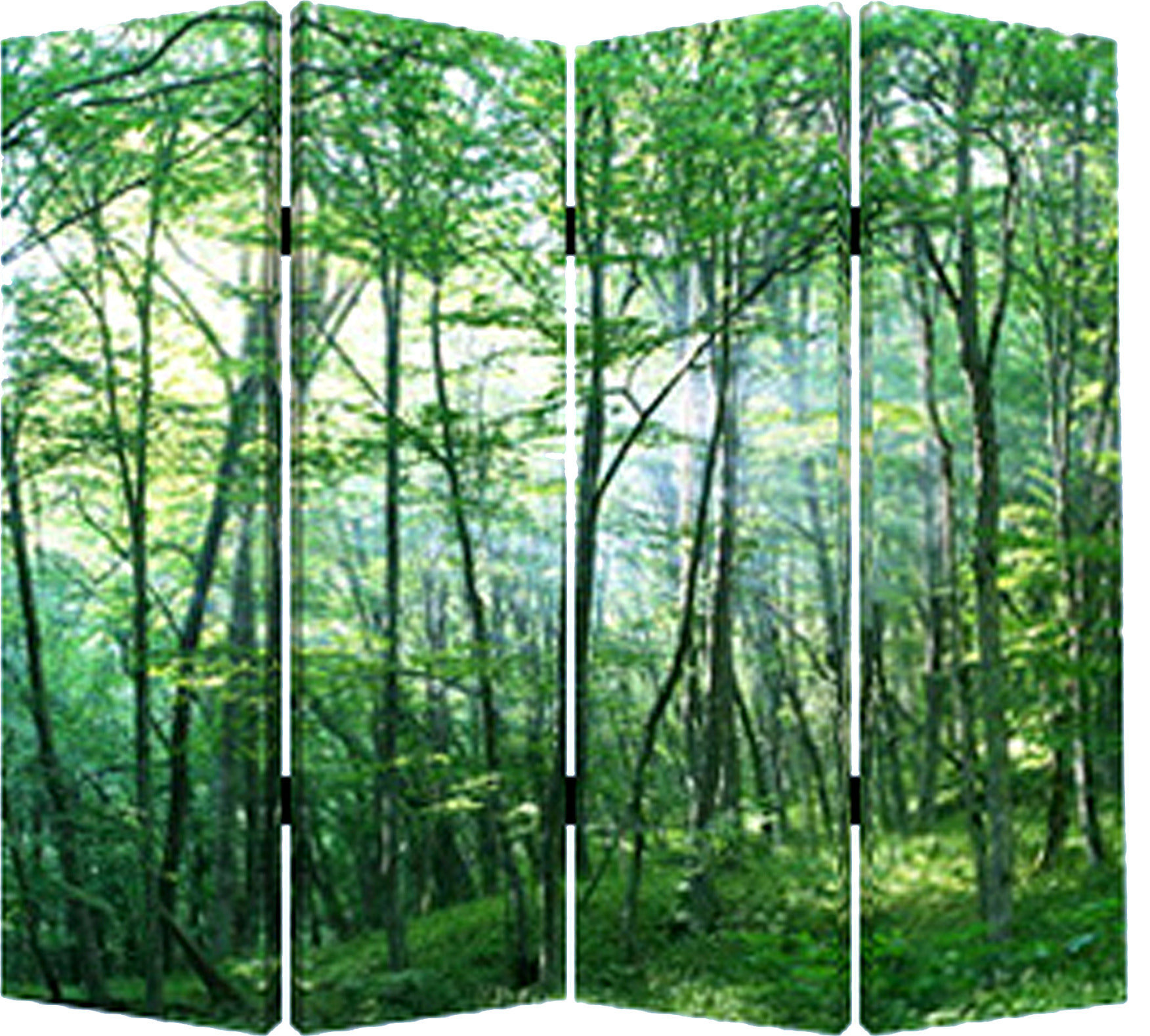 Prolific Forrest Screen - Contemporary - Screens And Room Dividers - by ...