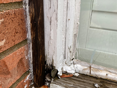 Proper exterior trim repair?