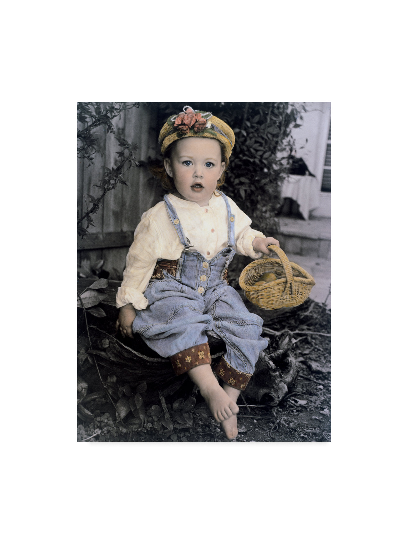 Sharon Forbes 'Spankie' Canvas Art, 19"x14" - Farmhouse - Prints And ...