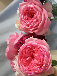 What about Long Ago Roses?