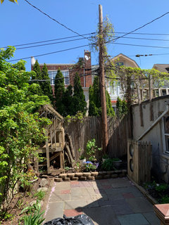 How to hide the ugly telephone pole and wires? | Houzz Forum