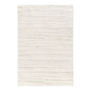 Cloudy shag CDG-2307 Machine Woven Area Rug, 5'3" x 7' - Contemporary ...