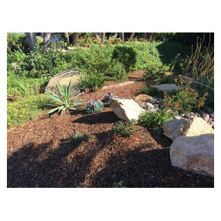Rain Water Swale and Lawn Removal - Traditional - Garden - San Diego ...