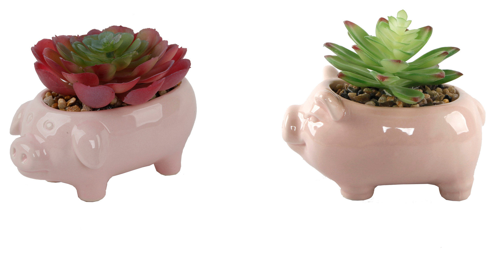 Set Of 2 Pink Ceramic Pig - Contemporary - Artificial Plants And Trees ...