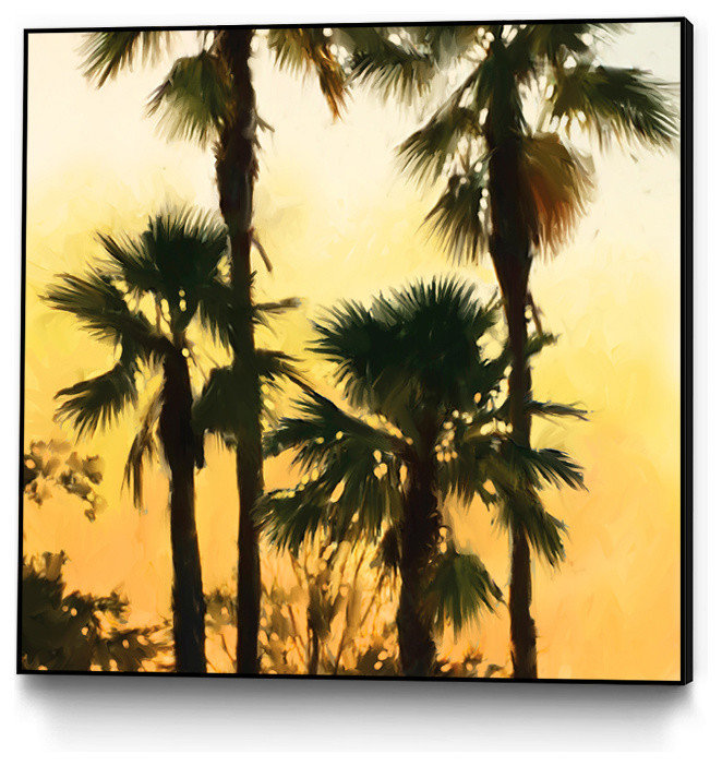"Morning Palm Tree I" Art block Framed Canvas, 20"x20" - Tropical ...