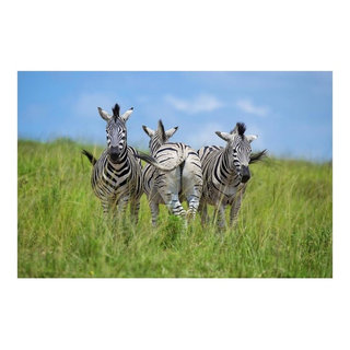 "Curious / Annoyed / Curious" Paper Print by Andreas Feldtkeller, 20 ...