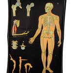 Leopard, Zebra and Monkeys Wastepaper Basket - Traditional ...