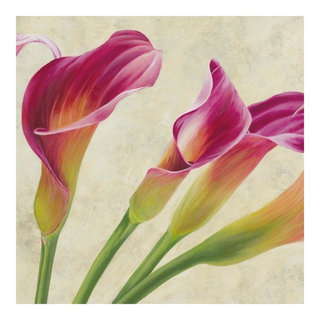 "Calla Parade II" Digital Paper Print by Luca Villa, 20"x20", 42"x42 ...