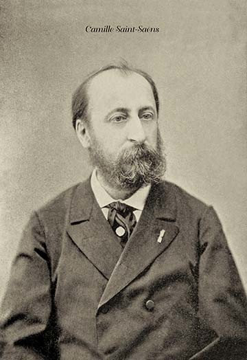 Camille Saint-Saens, 20" x 30" - Traditional - Prints And Posters - by ...