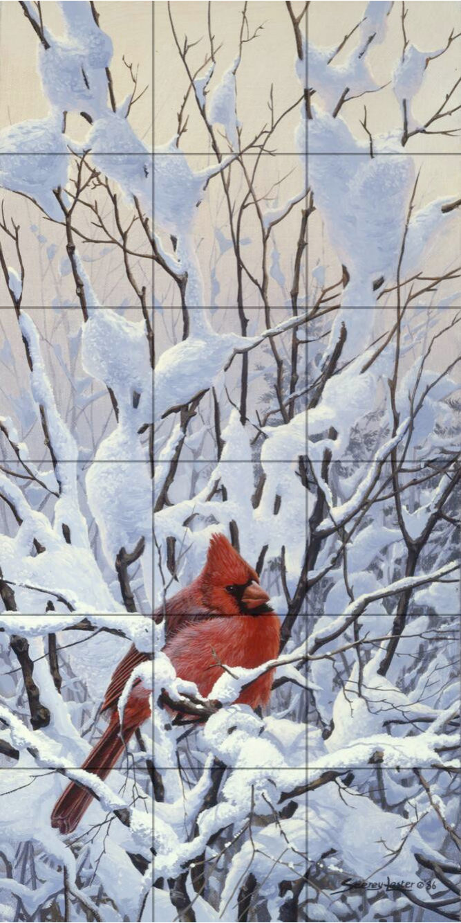 Tile Mural Kitchen Backsplash Winter Perch Cardinal by John Seerey ...