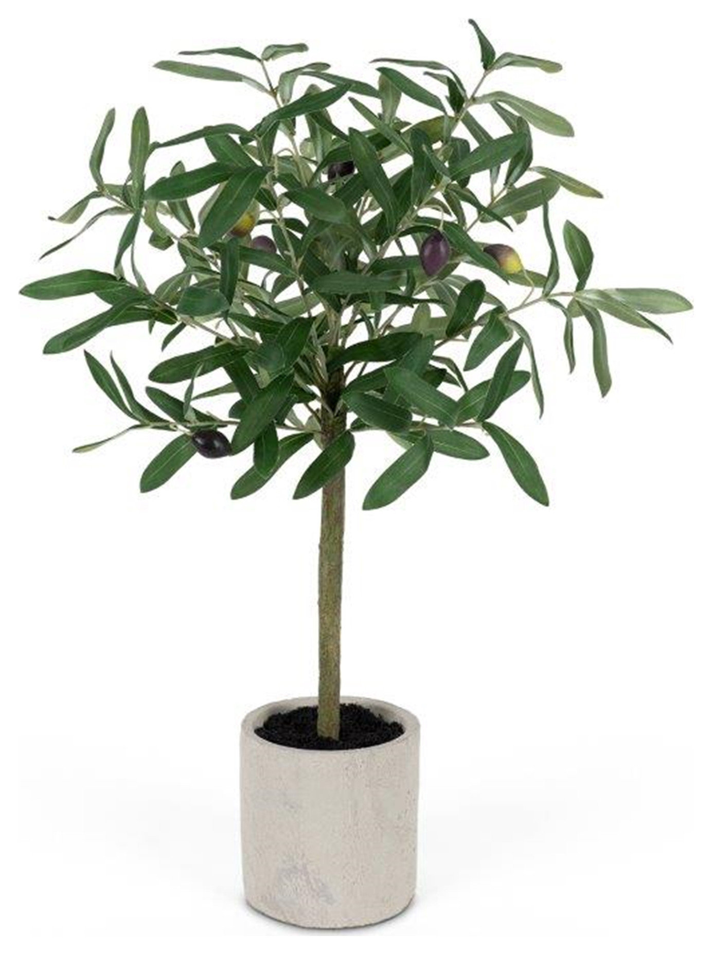 Olive Topiary 23"H Plastic/Cement - Artificial Plants And Trees - by ...