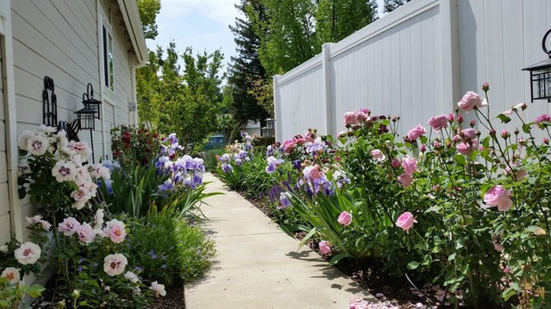 Photo Gallery: Spring Gardens Bring a Blooming Bonanza