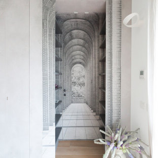 75 Beautiful Contemporary Vestibule Pictures & Ideas | Houzz