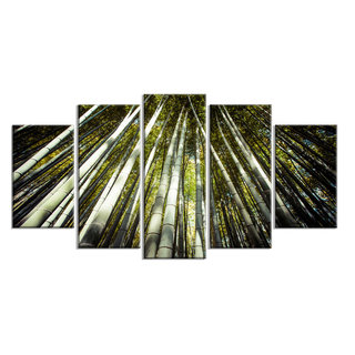 "Long Bamboos in Bamboo Forest" Forest Canvas Wall Art Print, 60"x32 ...