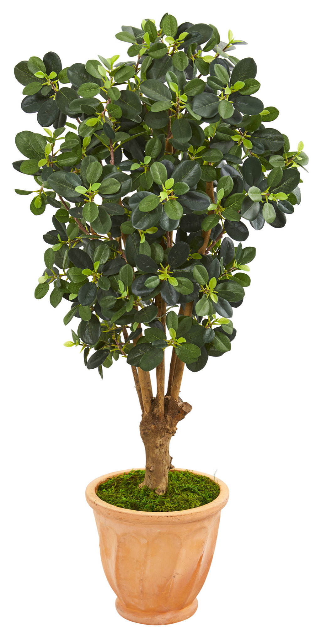 Nearly Natural 50 Panda Ficus Artificial Tree in Blue Planter ...