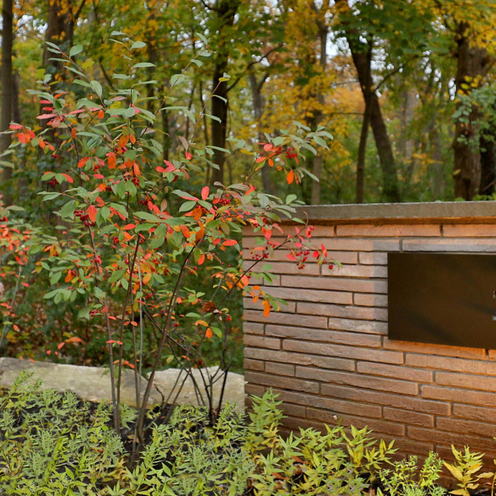 75 Privacy Front Yard Landscaping Ideas You'll Love - June, 2025 | Houzz